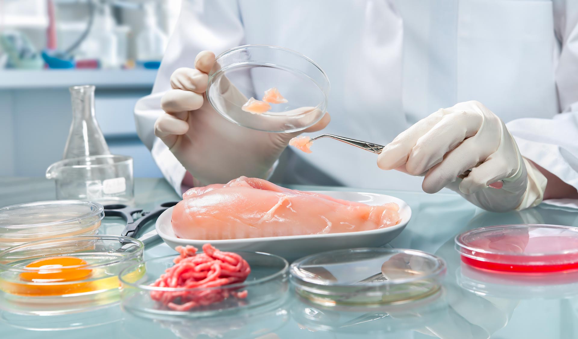 Consulenza HACCP Roma – BioEvolution | Laboratorio chimico batteriologico Consulenza HACCP Roma – BioEvolution | Laboratorio chimico batteriologico